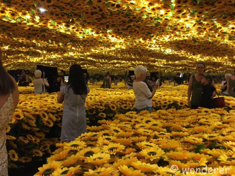 Van Gogh Alive 2020 Van Gogh Alive 2020